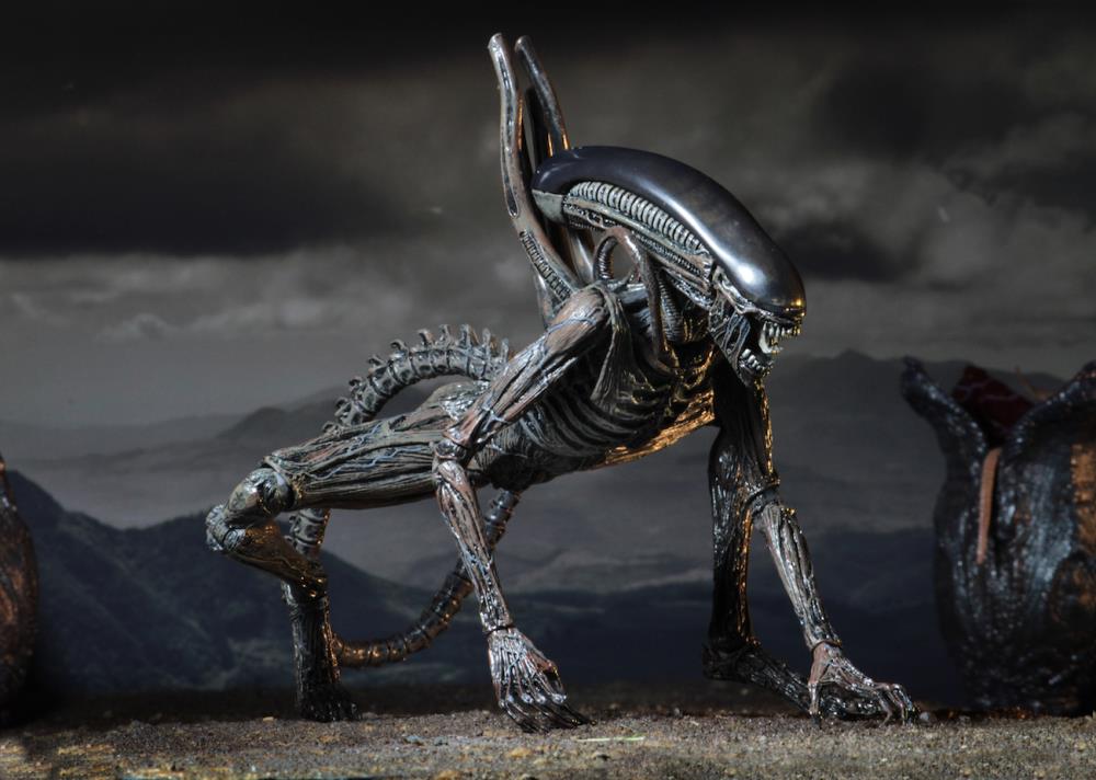 NECA Alien Covenant Xenomorph Action Figure